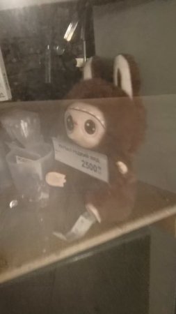 Обнаружен редкий вид LABUBU
