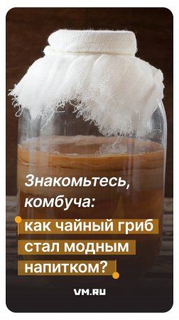 Знакомьтесь, комбуча: как чайный гриб стал модным напитком? // Вечерняя Москва
