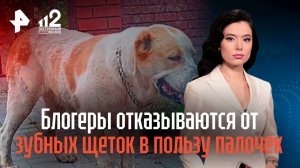 Стая агрессивных алабаев терроризирует жителей Нижнего Новгорода