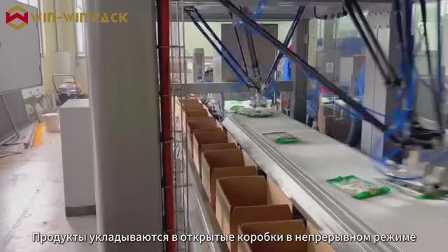 Дельта-робот для упаковки мешков с продуктами | Точное захватывание и непрерывная укладка в коробки