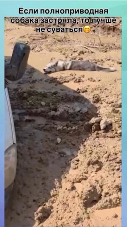 Наши дороги самые лучшие в мире. Хрен проедешь.