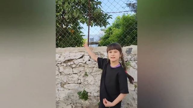 🌍 Мирай Эшме