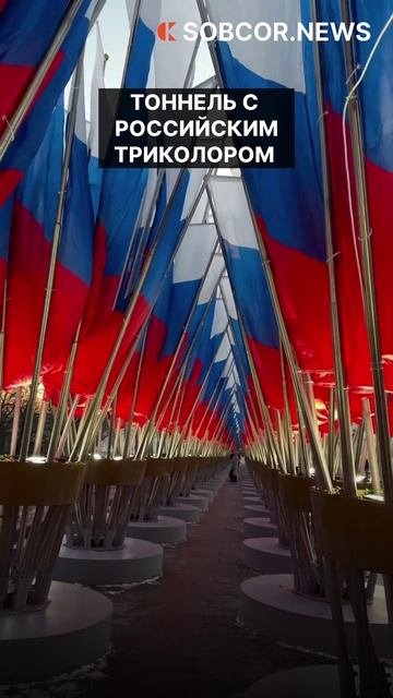 Тоннель с российским триколором