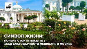 Символ жизни: почему стоить посетить «Сад Благодарности медикам» в Москве