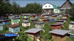 На пасеках Башкортостана началась первая качка меда