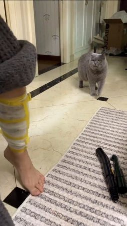 А Теперь запомни