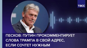 Песков: Путин прокомментирует слова Трампа в свой адрес, если сочтет нужным