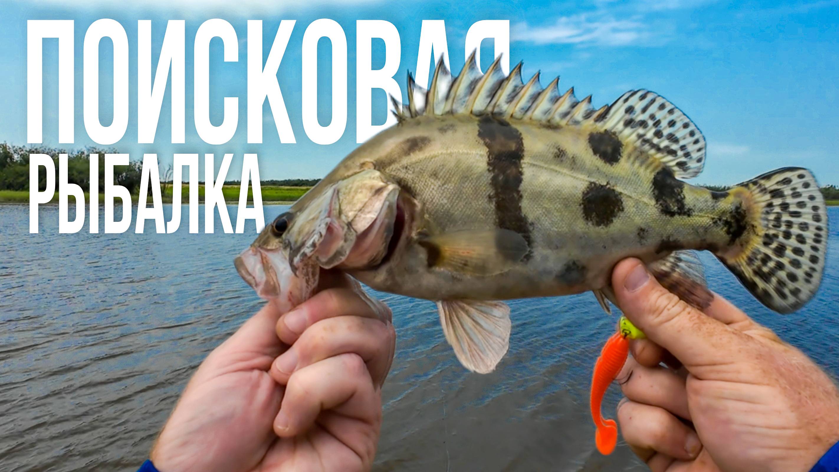 Нашли ТОЧКУ с РЫБОЙ - ХИЩНИК присутствует ! Поисковая рыбалка на спиннинг