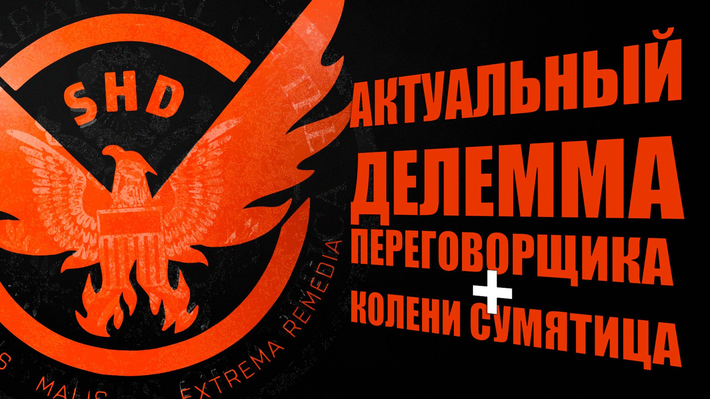Актуальная  сборка Делемма переговорщика с колени Сумятица The Division 2