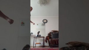 1000009081.mp4