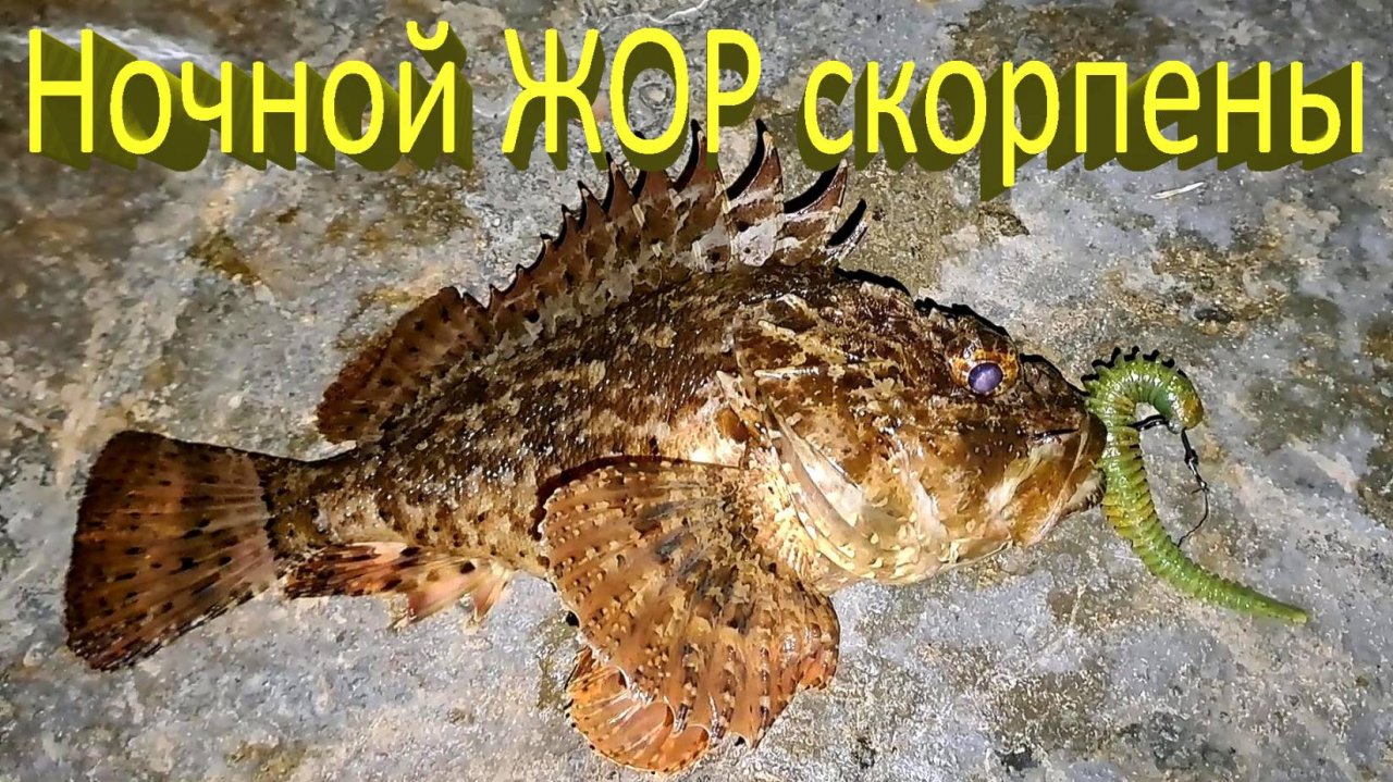 🔥 МОРСКАЯ РЫБАЛКА в Крыму - это ПРОСТО! Лучшая приманка на СКОРПЕНУ (2 часть). Ночной рокфишинг 🔥