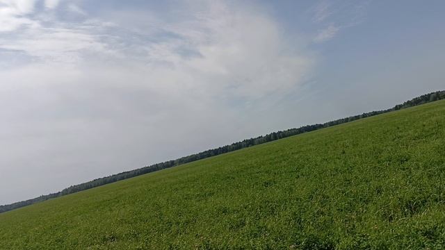 Дорога растворилась в поле. Велопоход 12.07.25, часть 14.