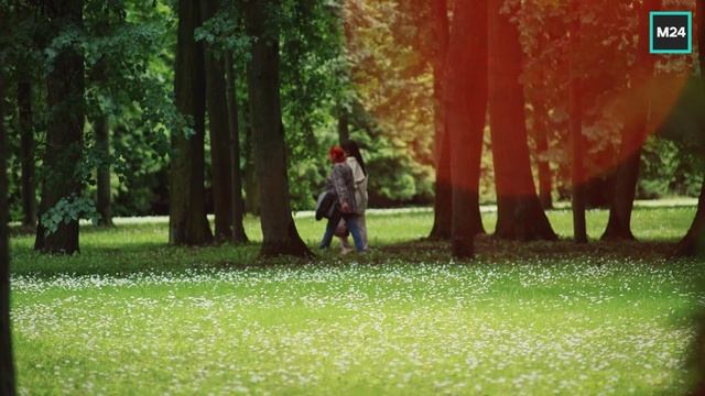 Московские виды с высоты | О Москве с любовью