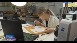 ТВ: На элеваторе Волгоградской области готовят кукурузу для экспорта в Иран под контролем ЦОК АПК