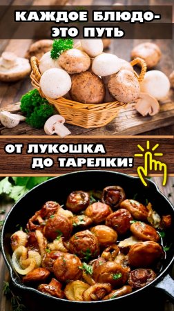 ЭТИ ГРИБОЧКИ СЪЕДАЮТСЯ БЫСТРЕЕ СТЕЙКА - МАРИНОВАННЫЕ ШАМПИНЬОНЫ И ДОПОЛНЕННАЯ РЕАЛЬНОСТЬ