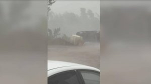 Ураганный ветер и ливень на дороге в Подмосковье