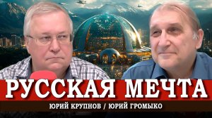 Мутное время, или Острая государственная недостаточность | Крупнов | Громыко | Рычков