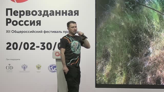 Андрей Носик. Особенности национального дайвинга