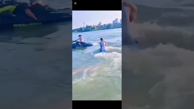 Качели для слонёнка 😆