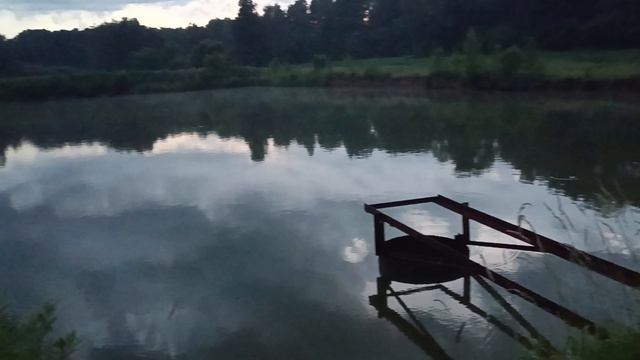 Возле лесного пруда. Велопоход 12.07.25, часть 23.