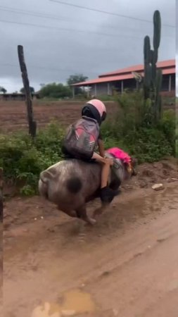 Опасный Хищник