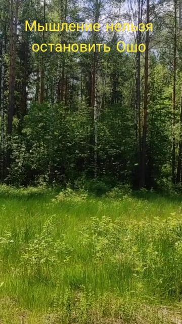 (14) Мышление нельзя остановить Ошо