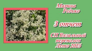 СП "Вязальный переполох Лето 2025" / 3 отчет