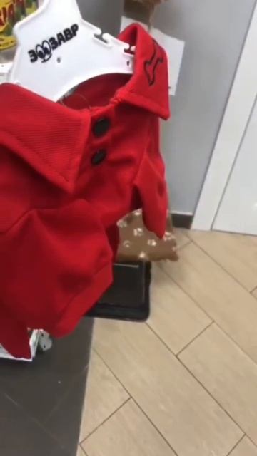Обновка