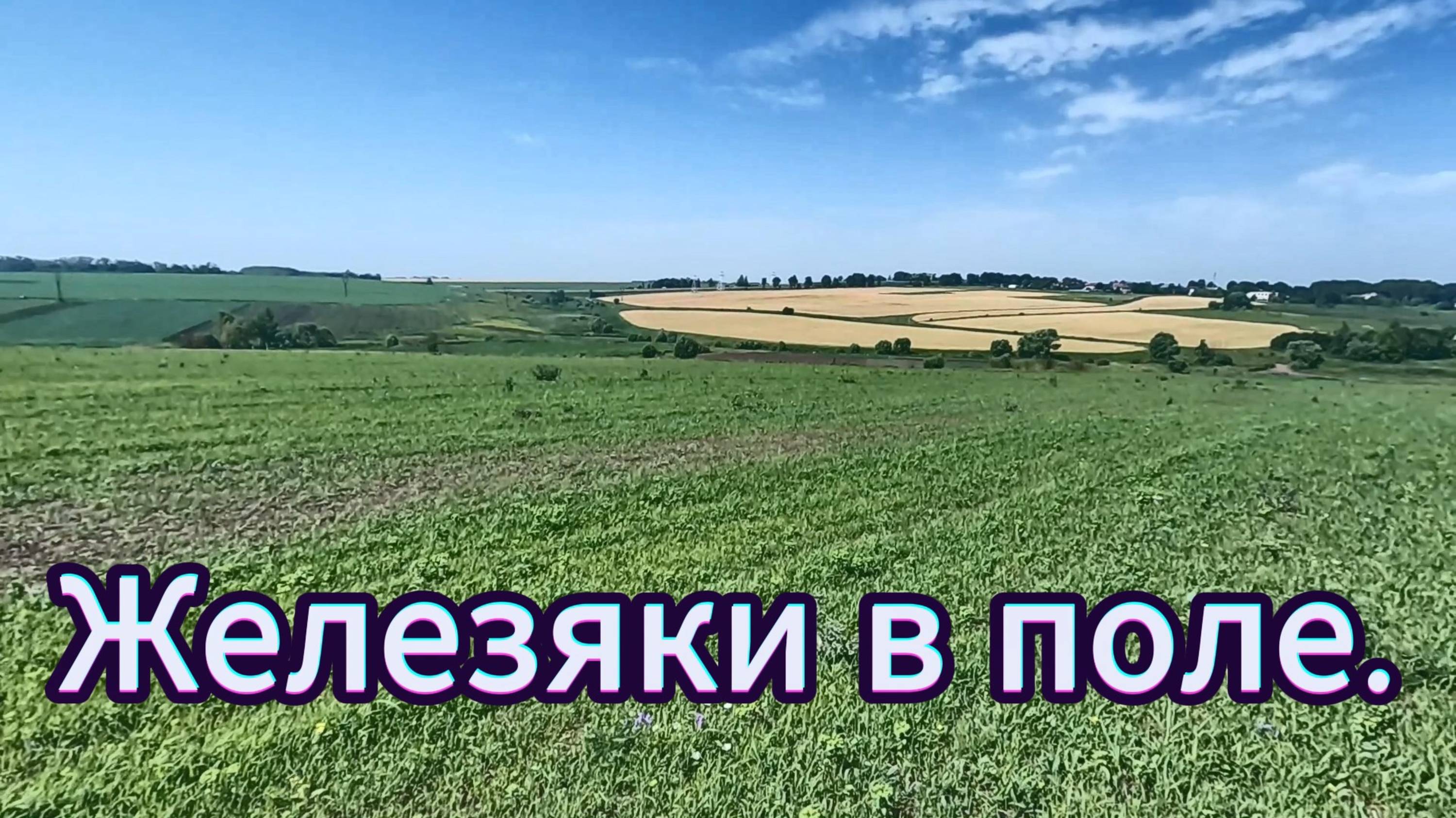 Приборный поиск. Собираем железяки на поле.