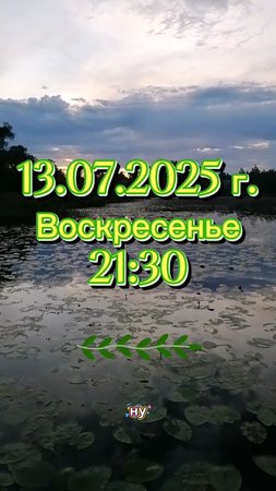 НЕОПИСАННАЯ КРАСОТА! #красота #живаяприрода #закат #природа #дача #деревня