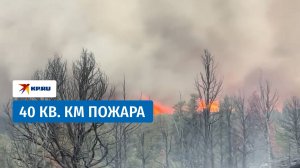 Огненный вихрь захватил лес в американском штате Юта