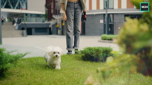 Неспешный ритм города в июле | О Москве с любовью