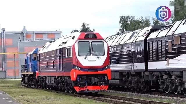 Когнитивная Витаминка Выпуск № 250