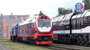 Когнитивная Витаминка Выпуск № 250