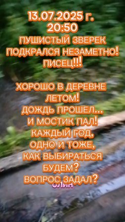 ПУШИСТЫЙ ЗВЕРЕК ПОДКРАЛСЯ - ПИСЕЦ! #юмор #мостик #деньвдеревне #деревня #живаяприрода #природа