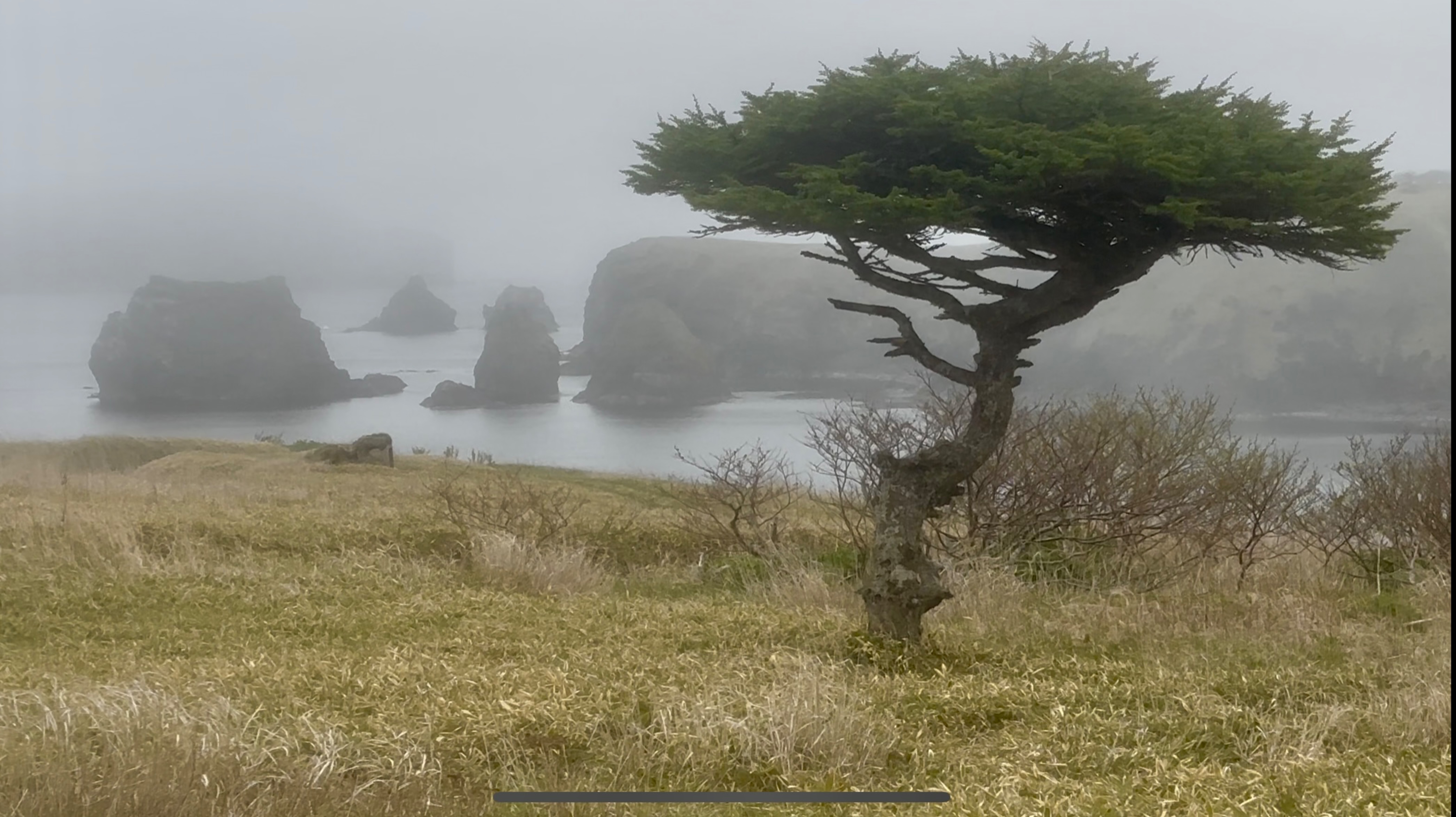 Бухта Маячная (Солдатка). Лагерь. День 4. Остров Шикотан Курильские острова 29.05.25