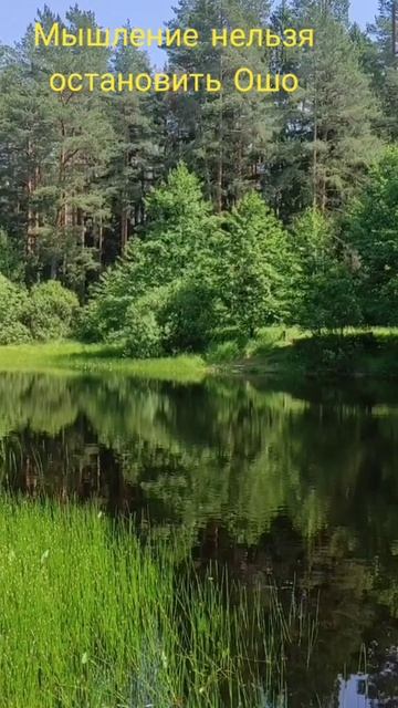 (5) Мышление нельзя остановить Ошо