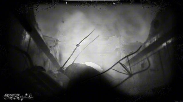 SCUM - The cursed land...