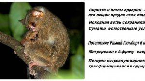30-1+  Теория антропологии   Сирихта оррорин  Бригитта Сенут    Мишель Брюне