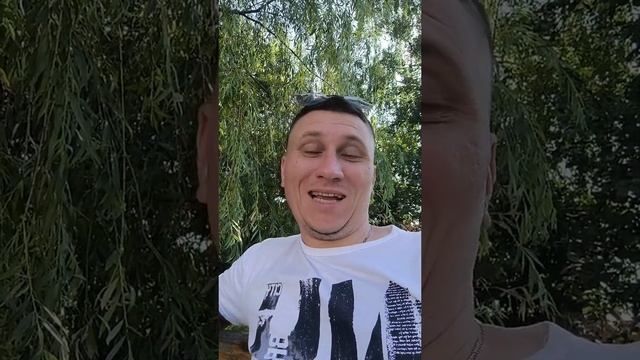 В подмосковном Красногорске таинственный заказчик пригласил около ста аниматоров в костюмах медведей