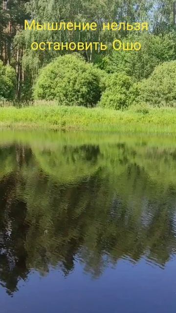 (10) Мышление нельзя остановить Ошо
