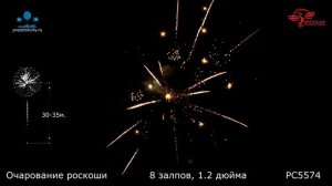 РС5574
