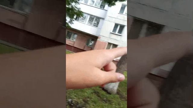 1000009114.mp4