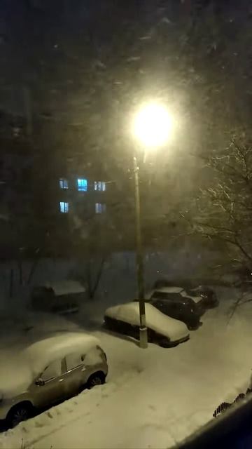 VID_20190212_231119