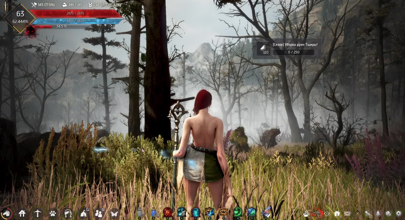 Black Desert