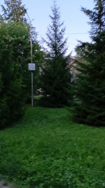 парк чистополь