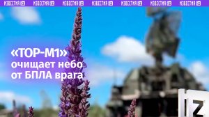 Зенитчики чистят наше небо от беспилотной грязи ВСУ: боевая работа «Тор-М1»