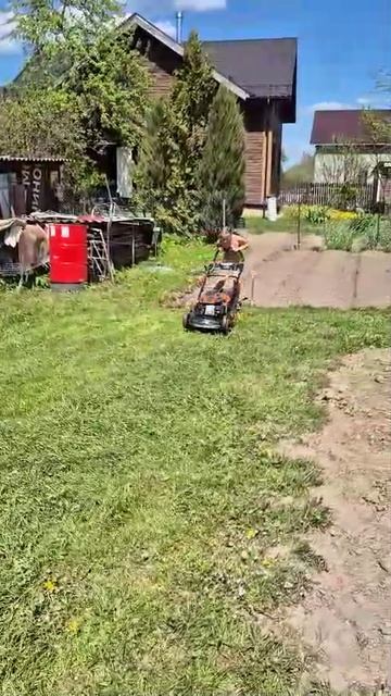 WhatsApp Video - 78