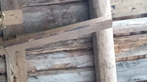 дома в древномти