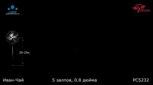 РС5232